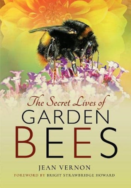 The Secret Lives of Garden Bees | Jean Vernon | Sherlock & Pages ...